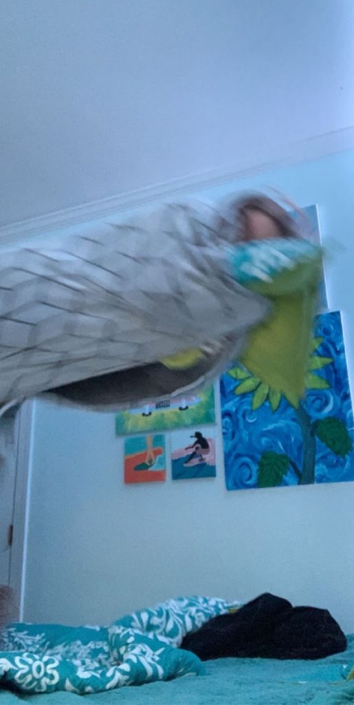 A Comprehensive guide to napping - The Mycenaean