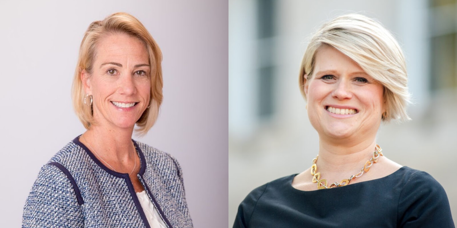 The Breakdown of the Council of State Races - The Mycenaean