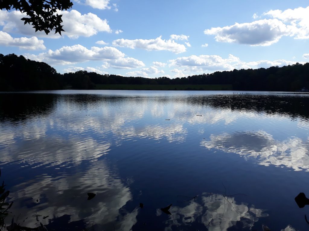 A Day at Shelley Lake - The Mycenaean