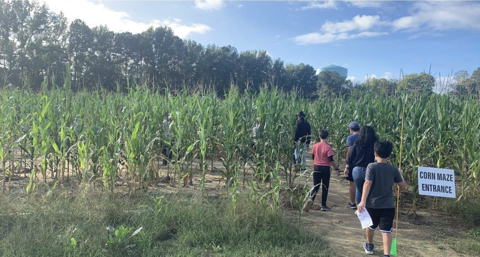 Fun At Phillips Farm - The Mycenaean