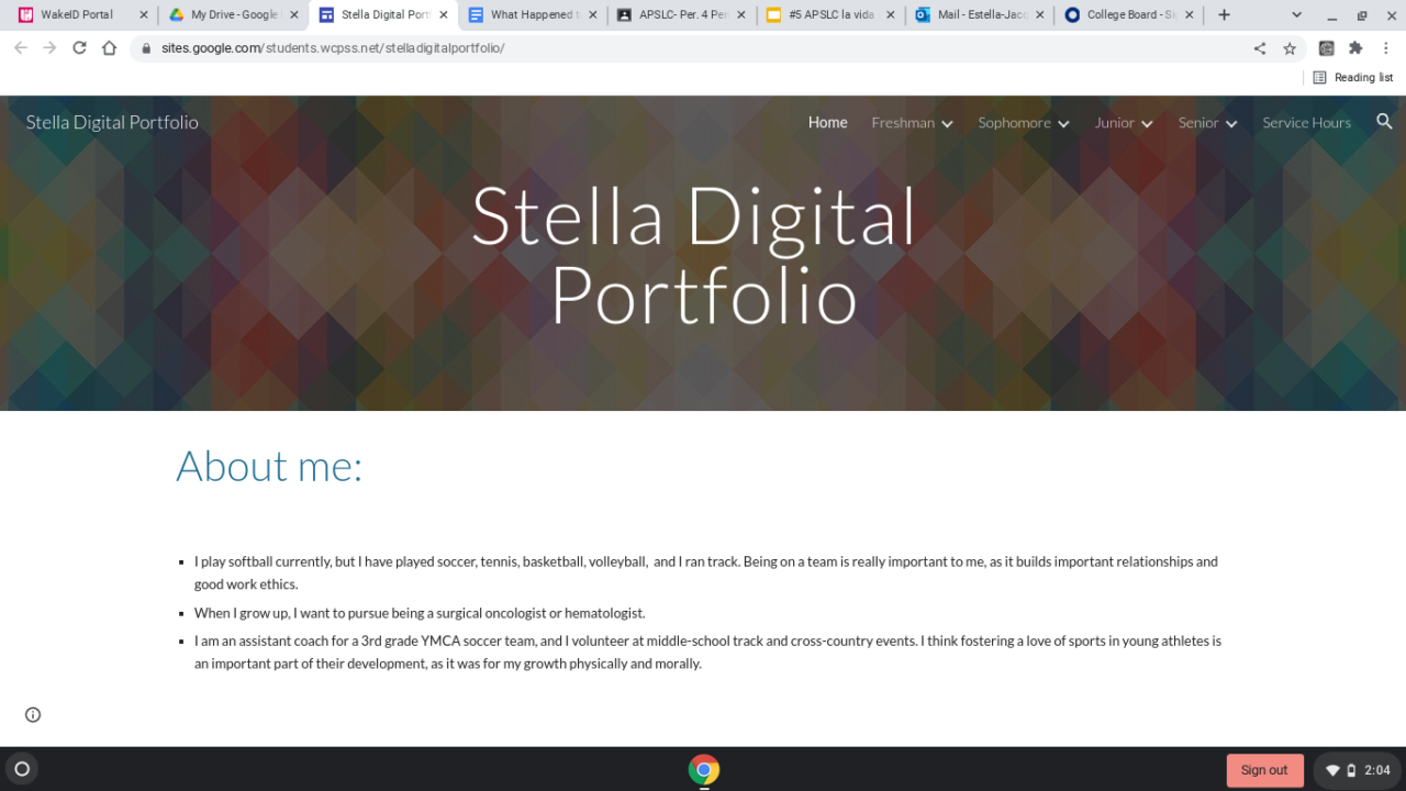 What Happened to “Required” Student Digital Portfolios? - The Mycenaean